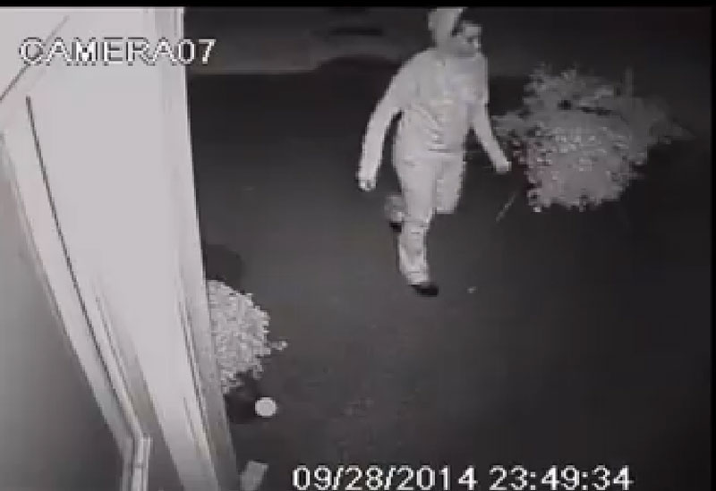 Surveillance Cameras Catch Cat Burglar Falling From Roof