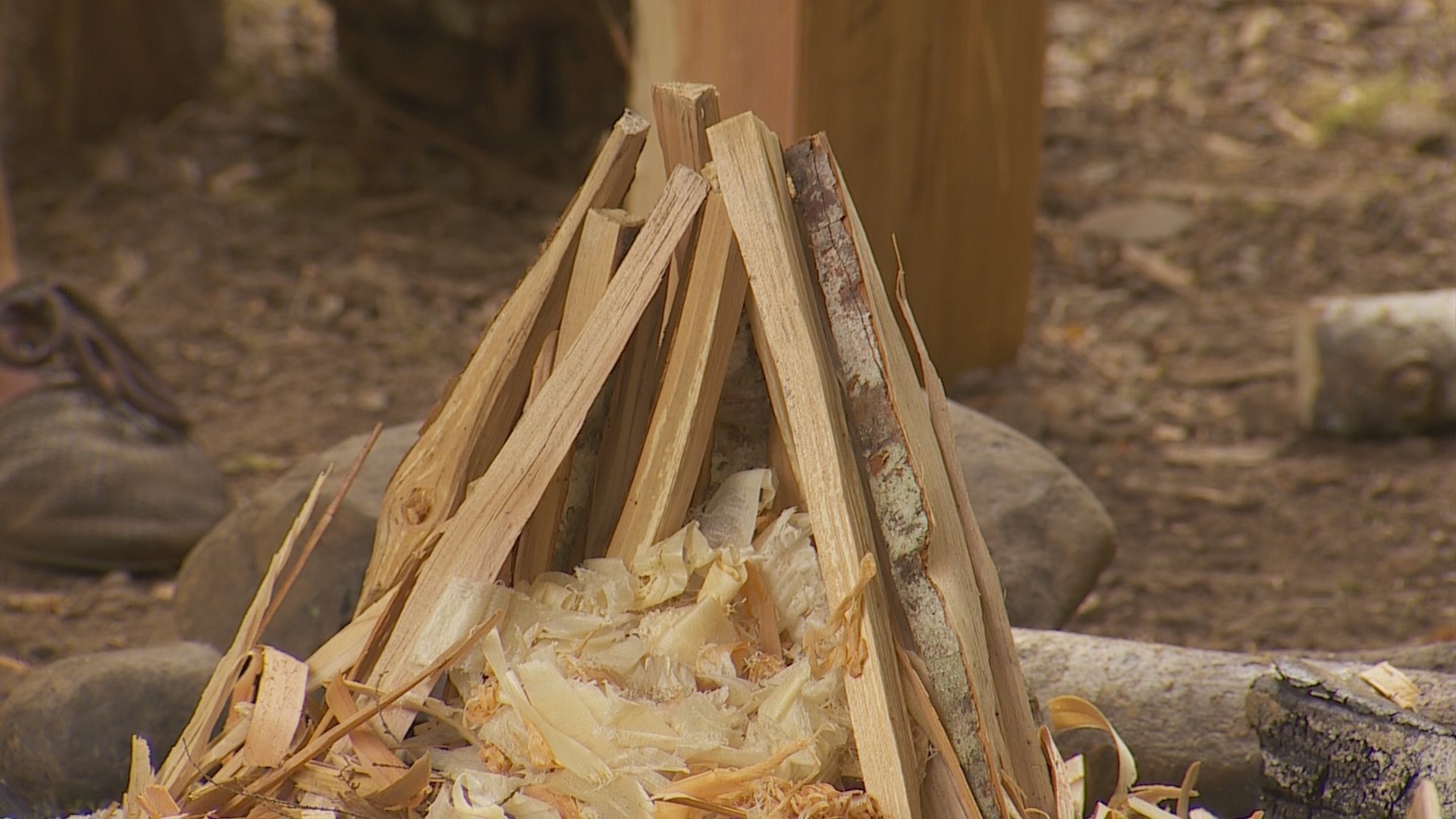 Summer camp series: Wilderness Awareness School | king5.com