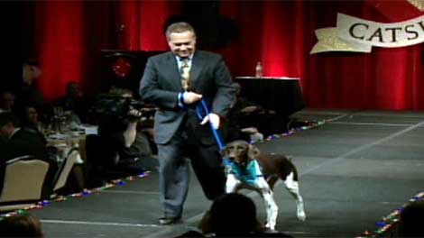 KING 5's Jeff Renner hits the catwalk to help animals | king5.com