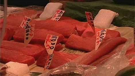 Radioactive fish caught off Japanese coast | king5.com