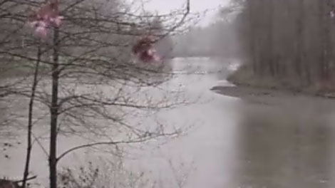 Flood warnings issued for rivers in Western Washington | king5.com