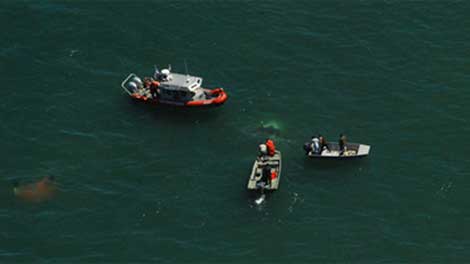 Investigator: Drop charges in Coast Guard crash | king5.com