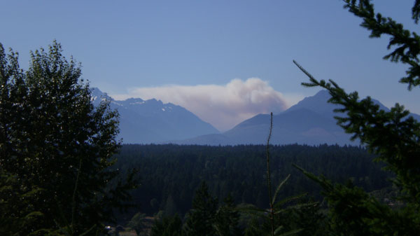 Wildfire burns 100+ acres in Olympic National Forest | king5.com