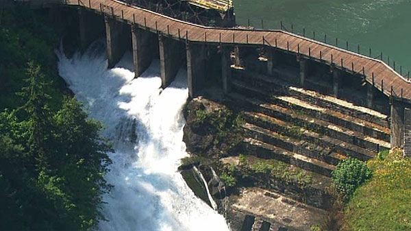 With 1 of 2 dams down, fish return to Elwha River | king5.com