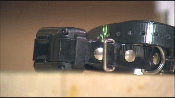 South sound cities revamp leash laws to address electronic leashes ...