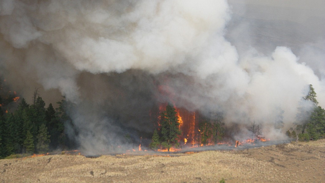 Colockum Tarps fire 50 percent contained | king5.com