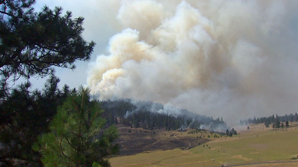 Washington summer burn ban and wildfire prevention | king5.com