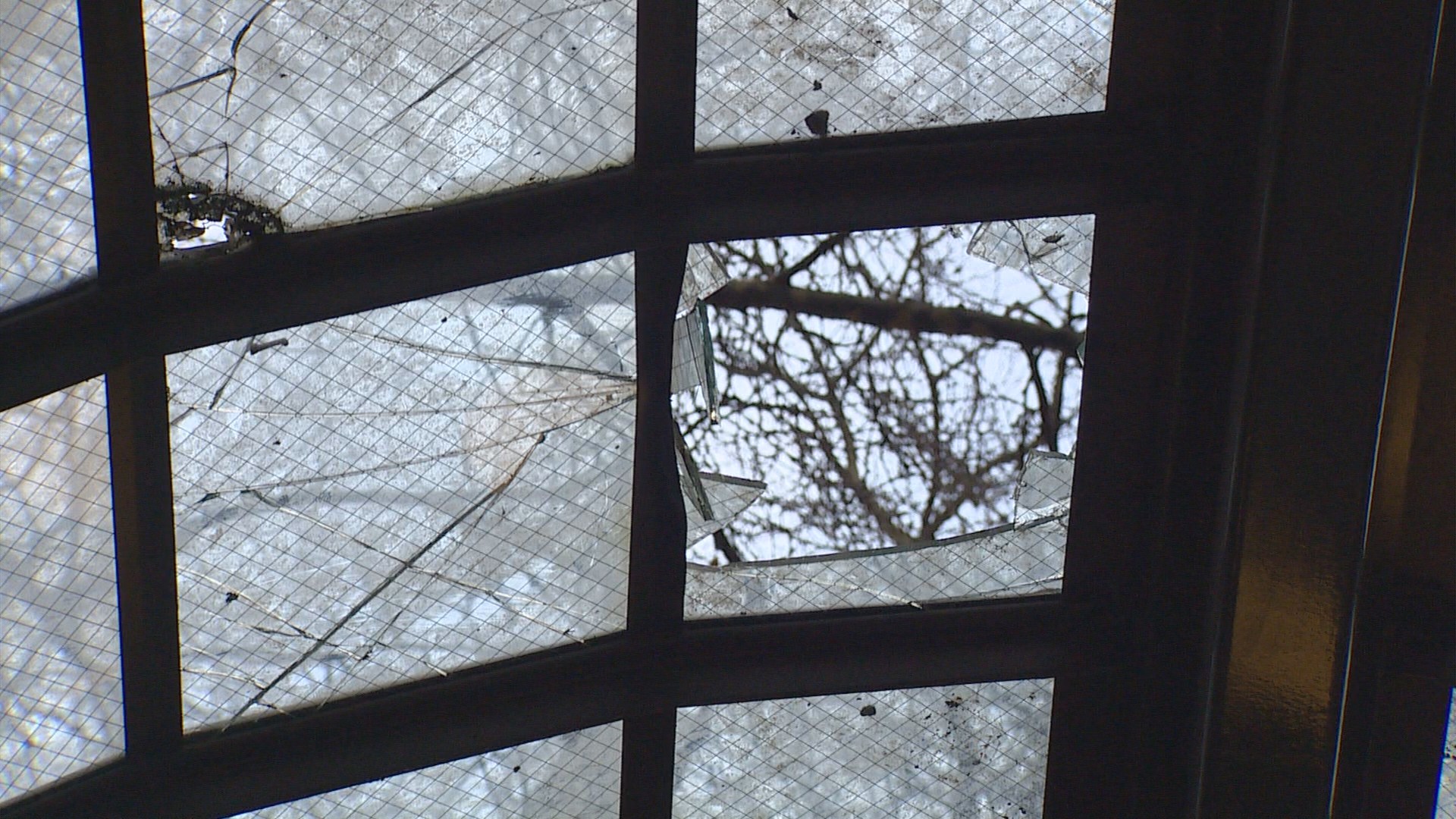 Campaign launched to repair Seattle's Pergola | king5.com