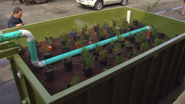 Rolling rain gardens at Port of Seattle | king5.com
