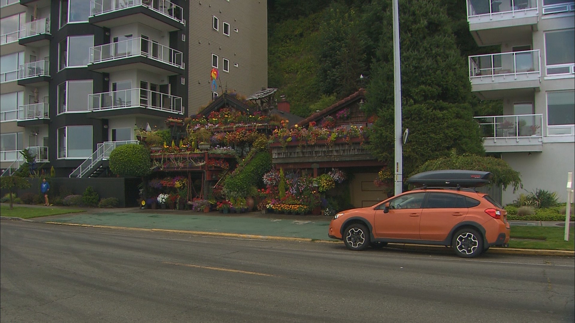 Alki flower house | king5.com