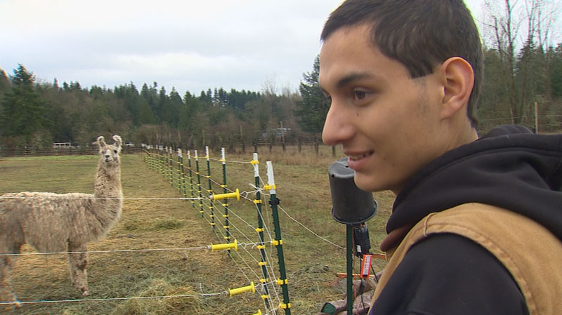 Auburn program grows new crop of young farmers | king5.com