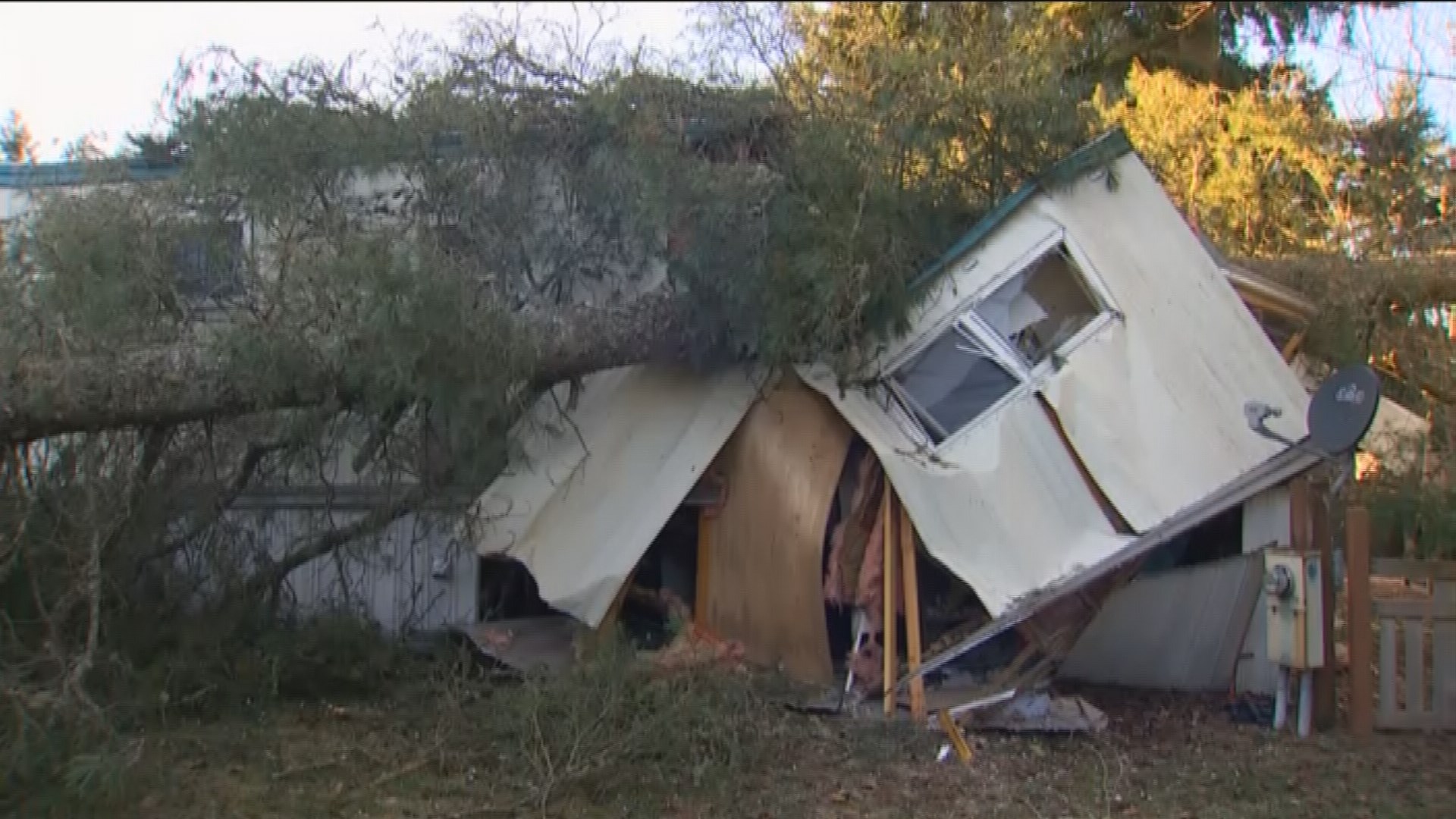 Fallen tree destroys homes in Kitsap County | king5.com