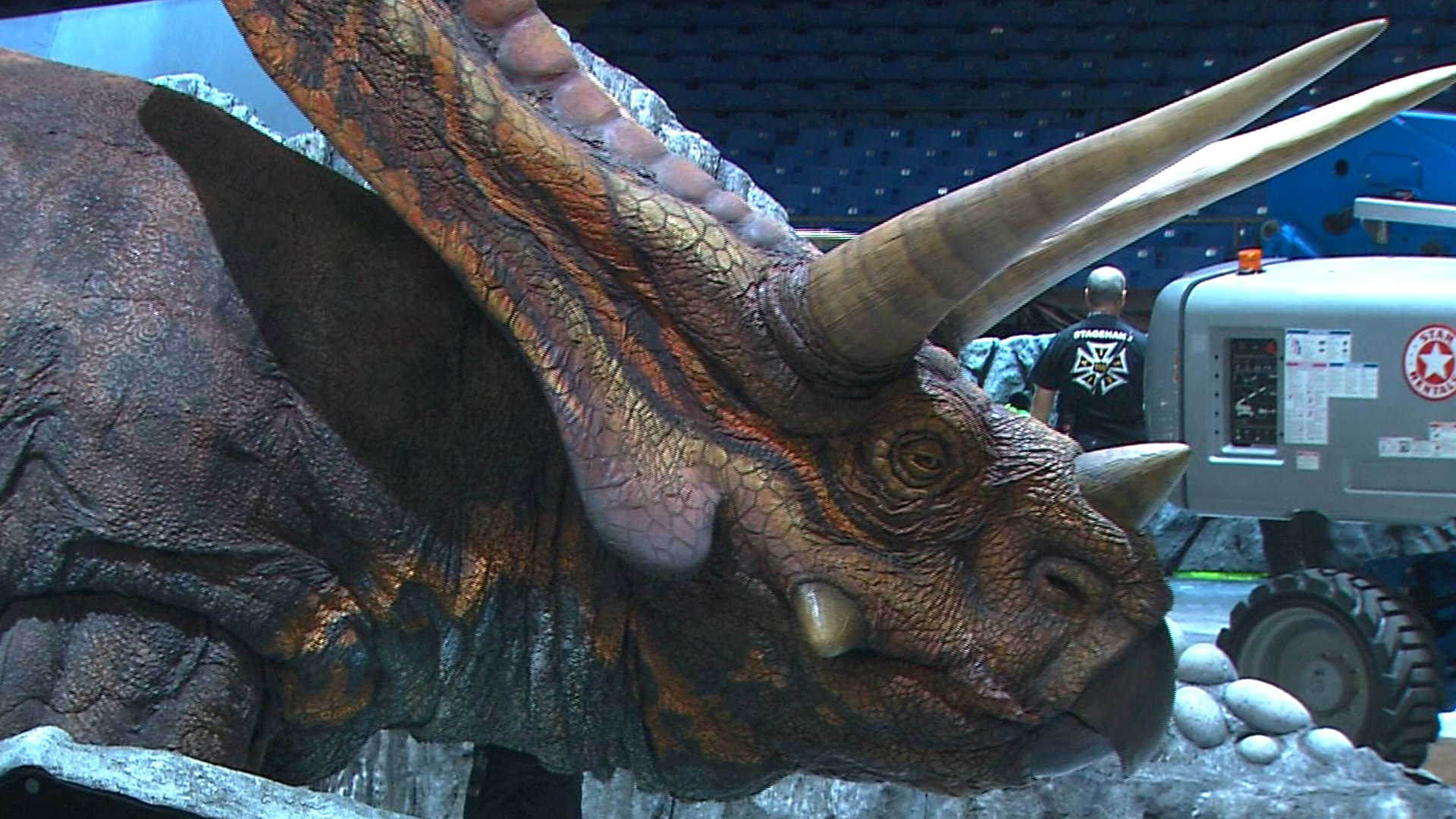 The Dinosaur Masters | king5.com