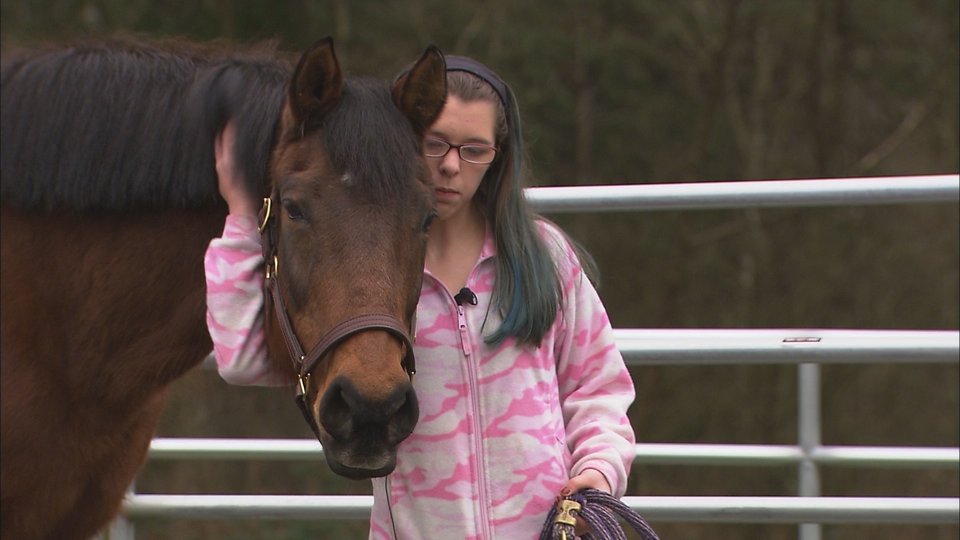 Healing Horses | king5.com