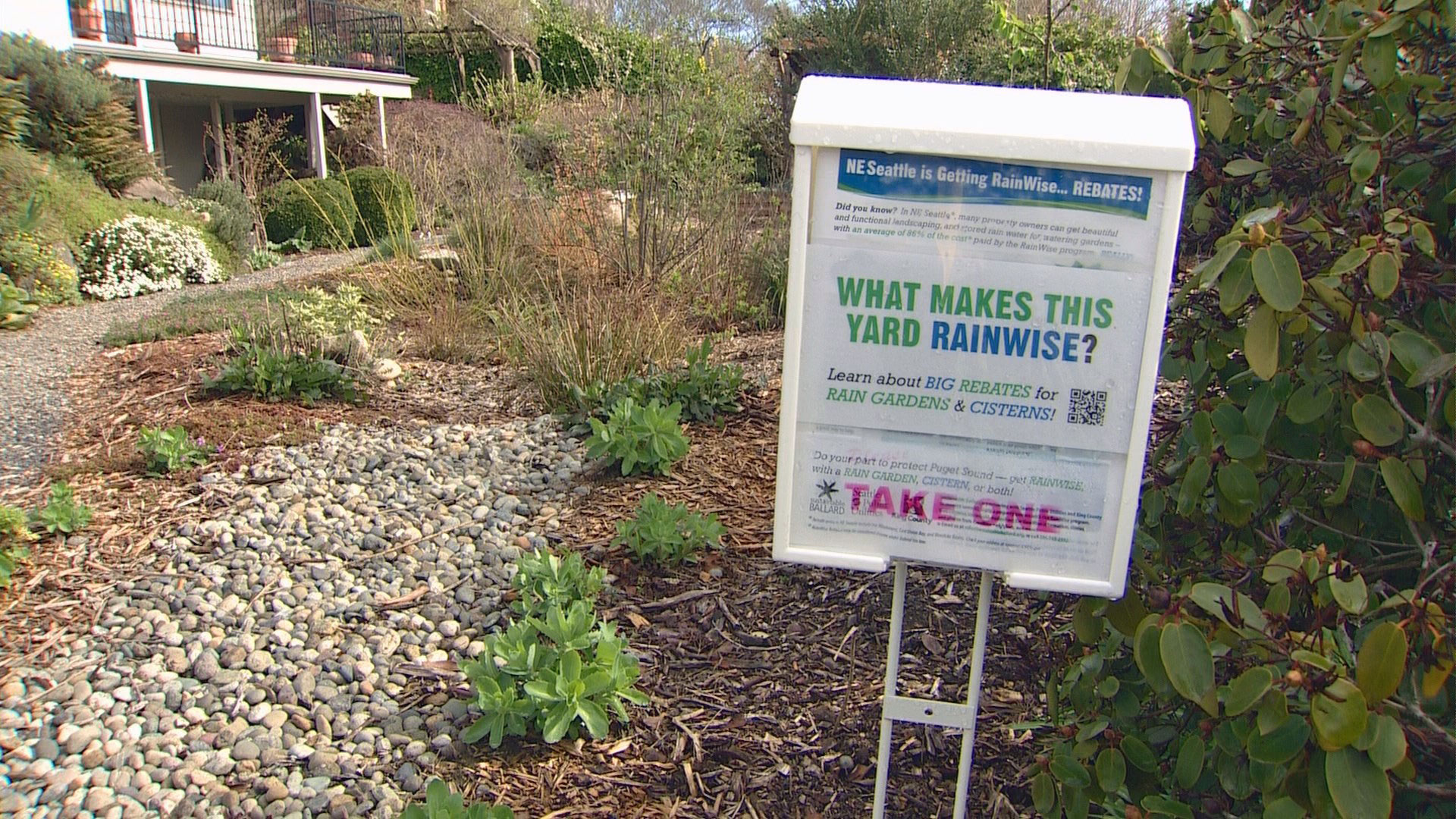 Seattle helping pay for rain gardens | king5.com
