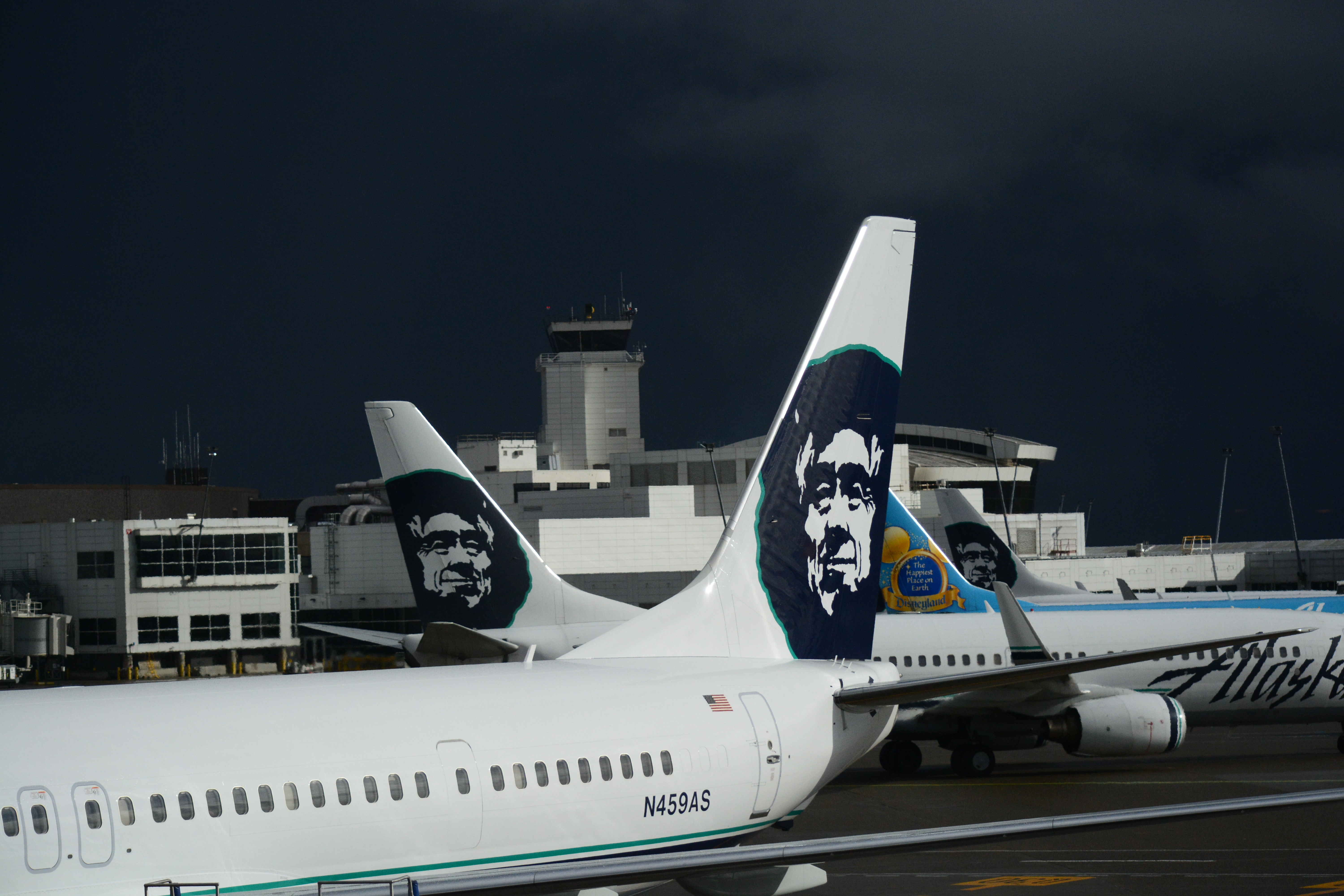 Alaska Airlines flight returns to Sea-Tac after bird strike | king5.com