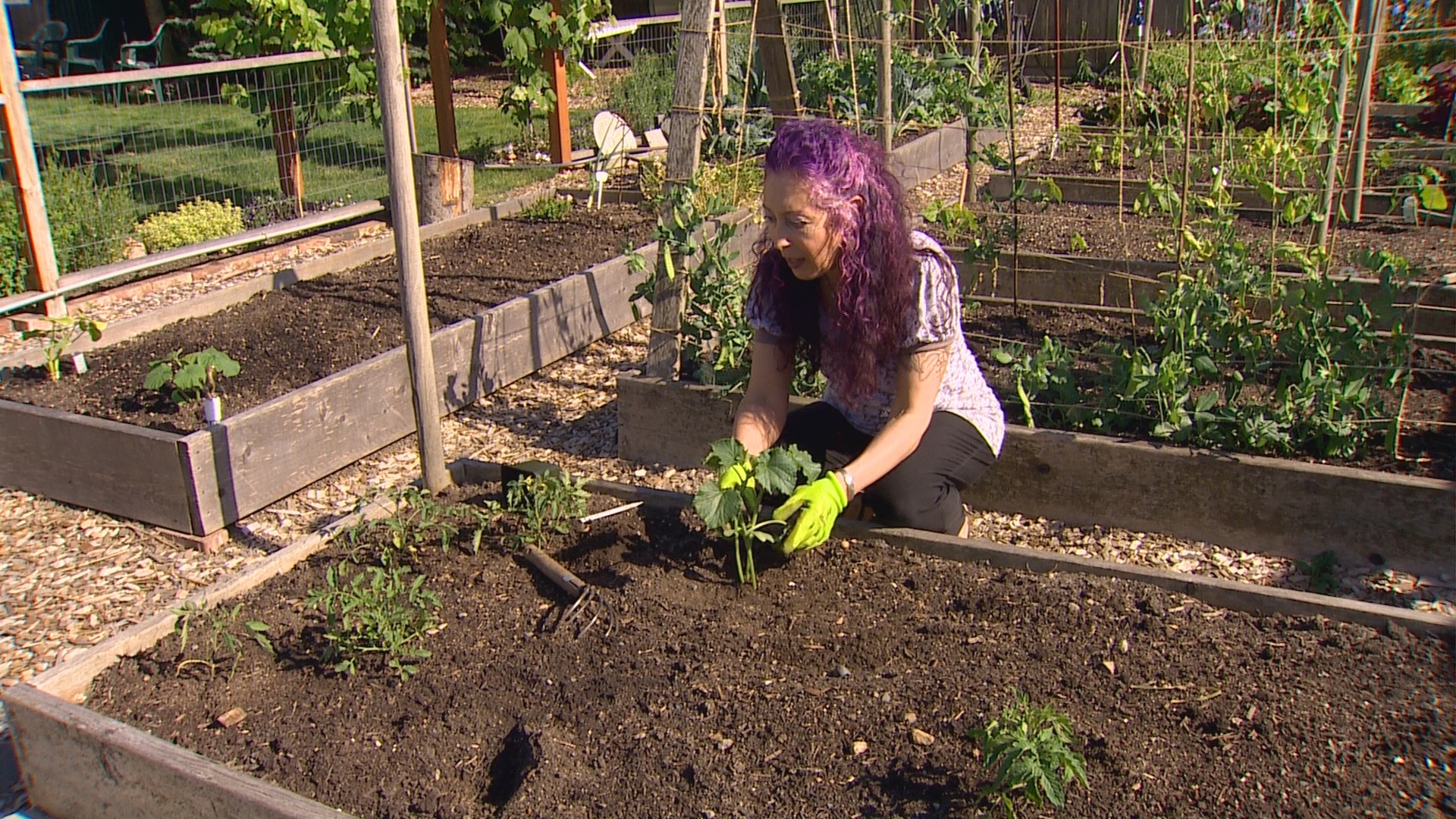 Urban Death Project gains support in Seattle | king5.com