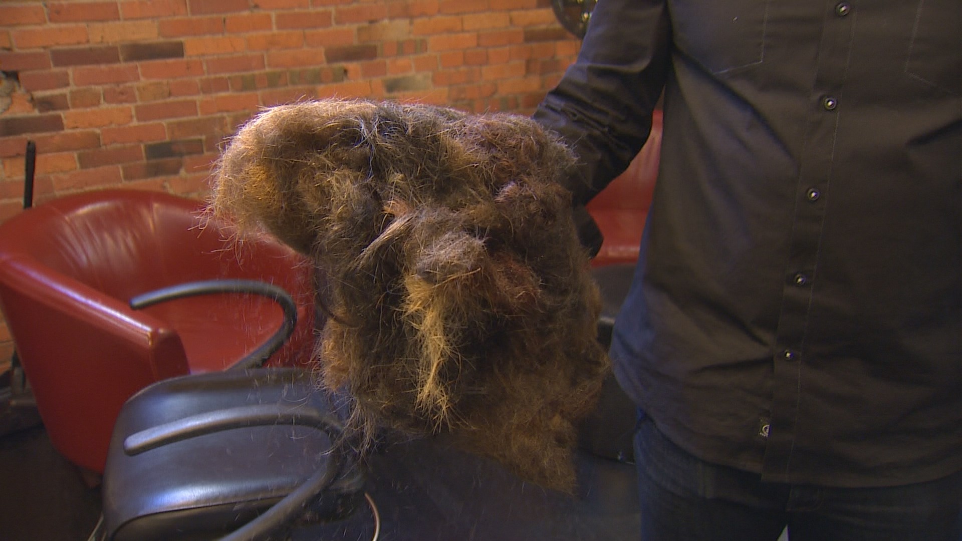 Green Circle salons recycle hair to clean oil spills | king5.com