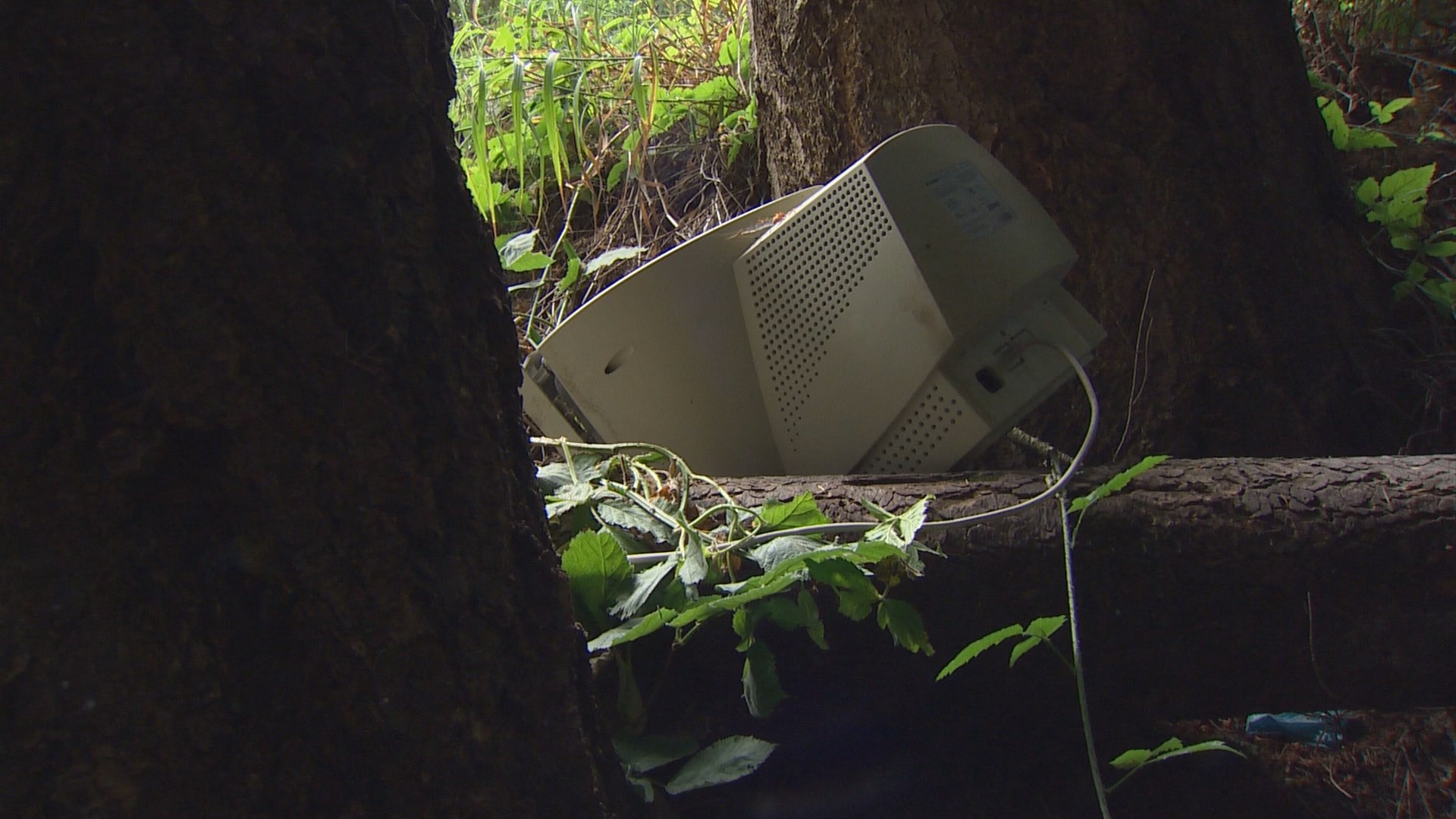 Trailhead turned illegal dump site draws clean-up action | king5.com