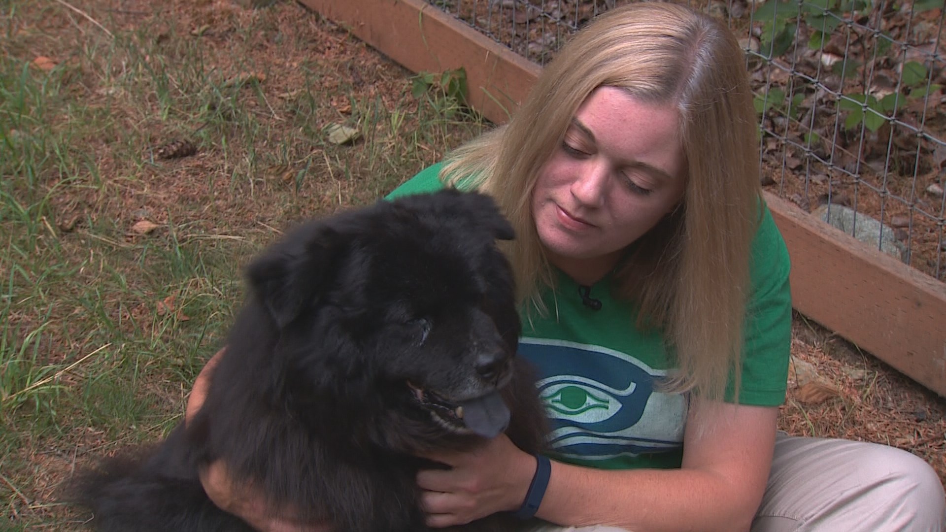 Katrina survivor living a dog's life in Seattle | king5.com