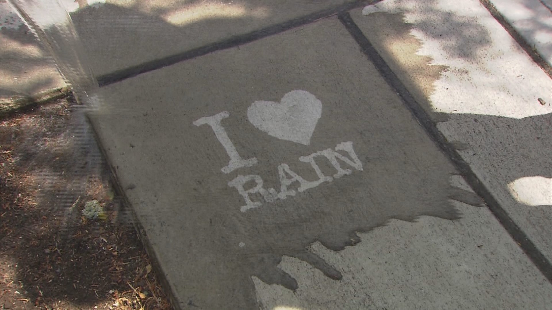 Seattle's hidden sidewalk art | king5.com