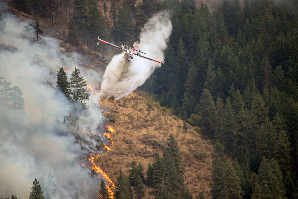 Okanogan complex 65 percent contained | king5.com