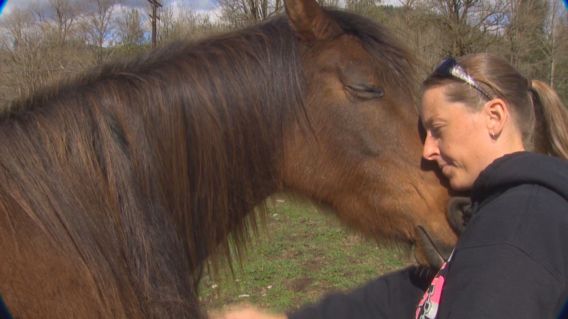 One year later, Oso landslide revives raw emotions | king5.com