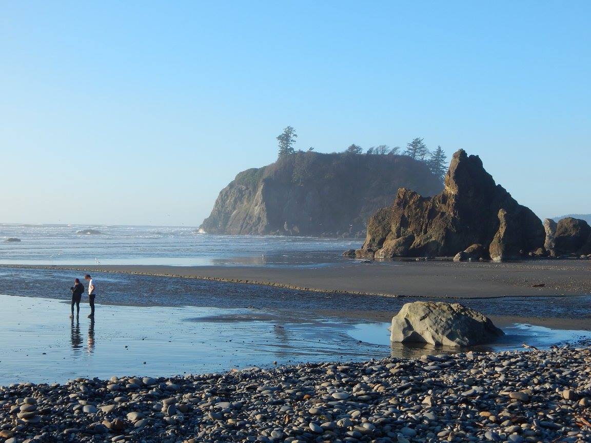 Explore the PNW: Ruby Beach & Olympic National Park | king5.com