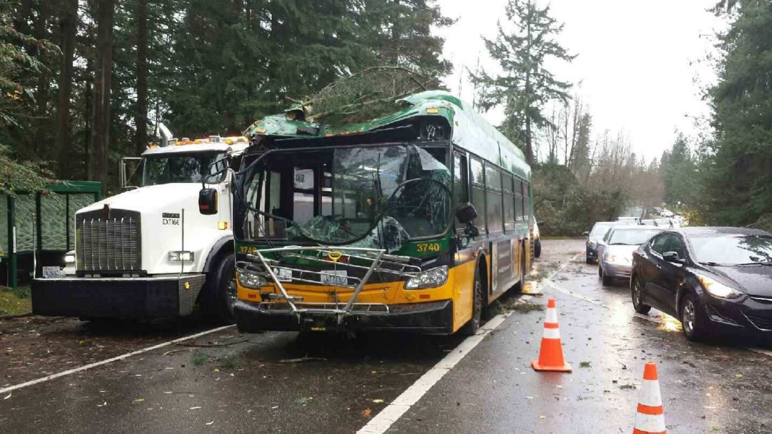 Metro driver injured after tree hits bus | king5.com