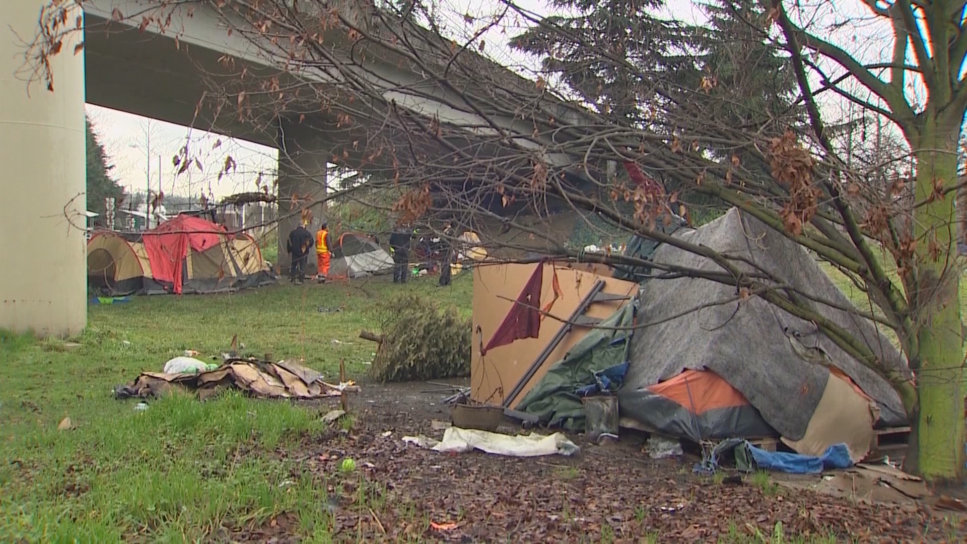 Seattle council will hear report on 'The Jungle' Monday | king5.com