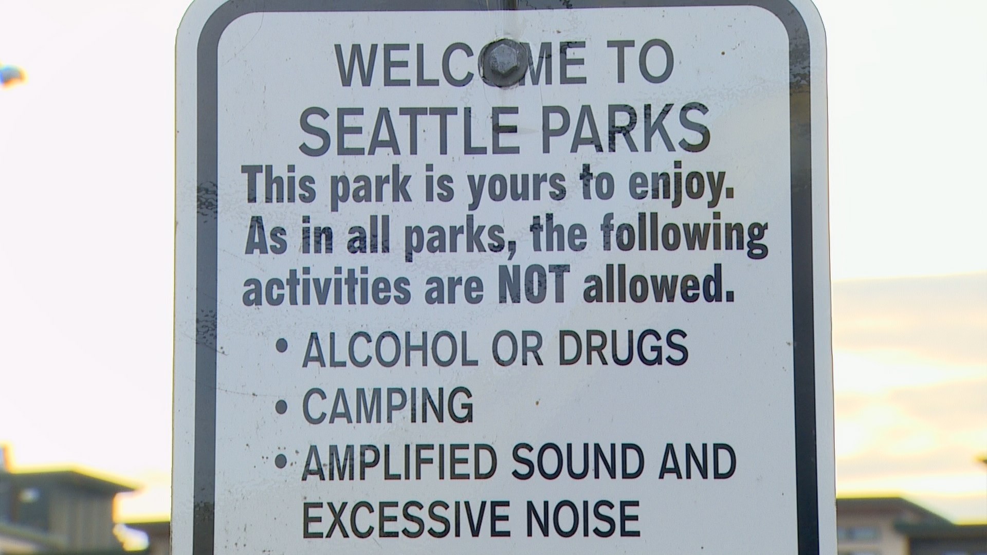 Panel suggests allowing drinking in Seattle parks | king5.com