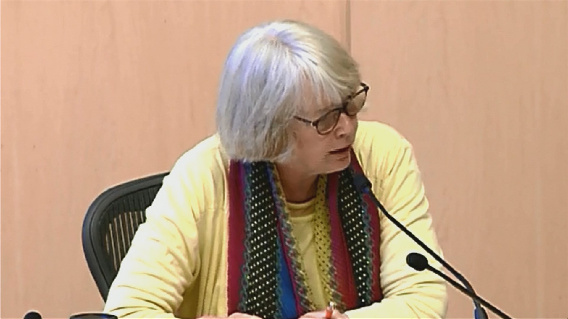 Seattle councilmember Bagshaw talks about sexist arena backlash | king5.com