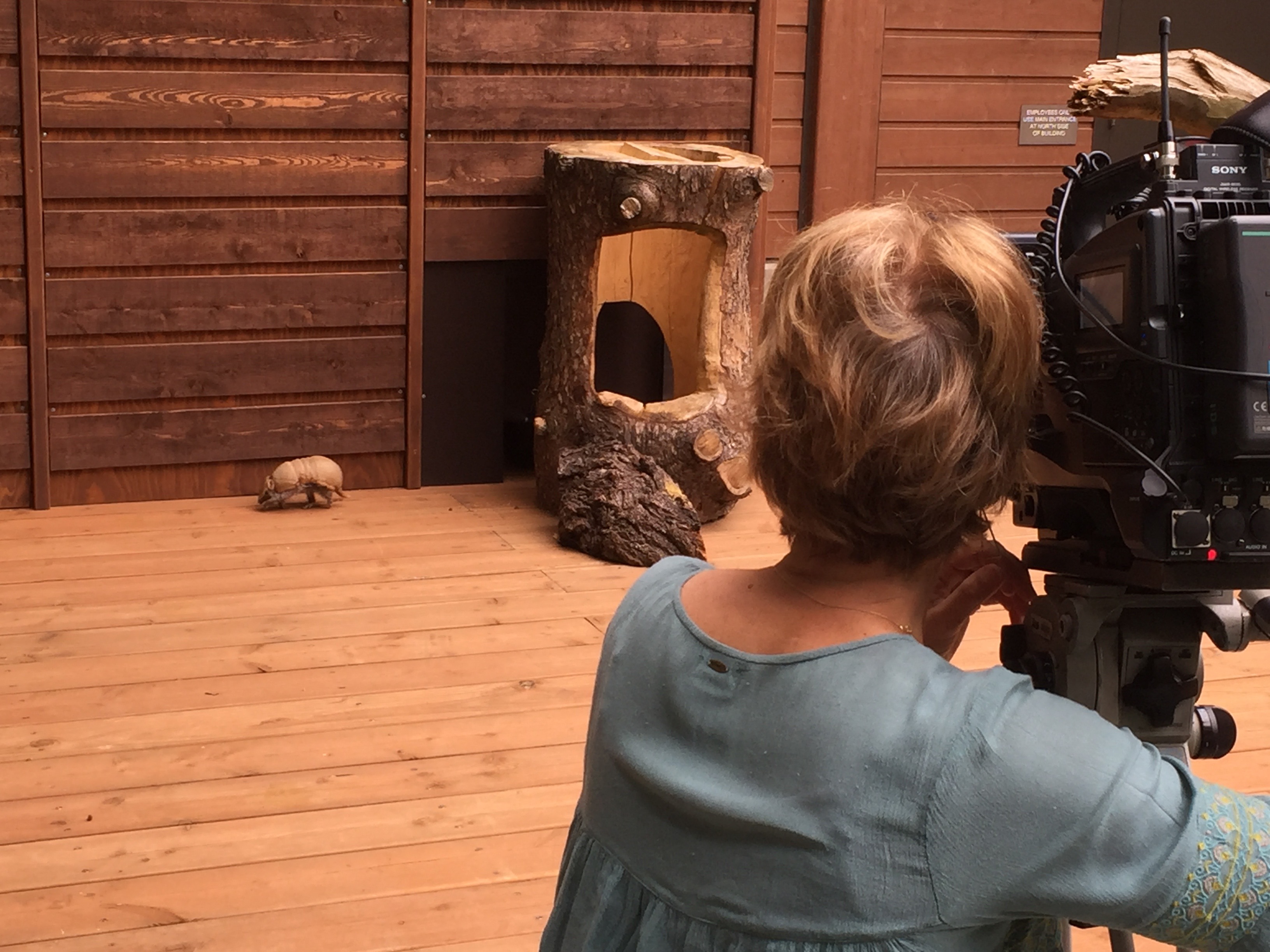 Woodland Park Zoo's Ambassador Animals mesmerize human visitors | king5.com