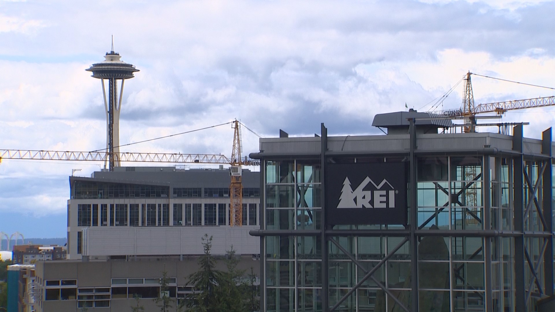 Seattle councilmember takes on REI, calls for change | king5.com