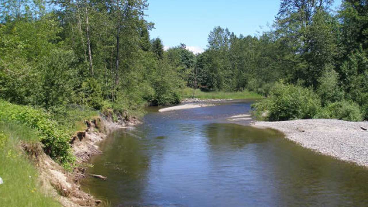 State to dye Pilchuck River pink to test water quality | king5.com