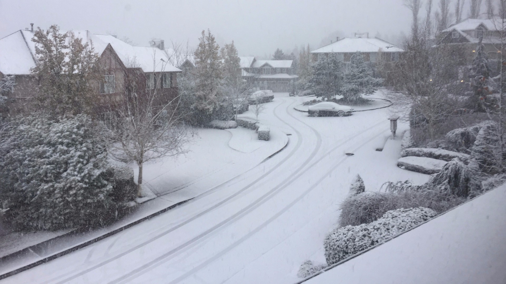 Blog: Snow moves into Puget Sound area | king5.com
