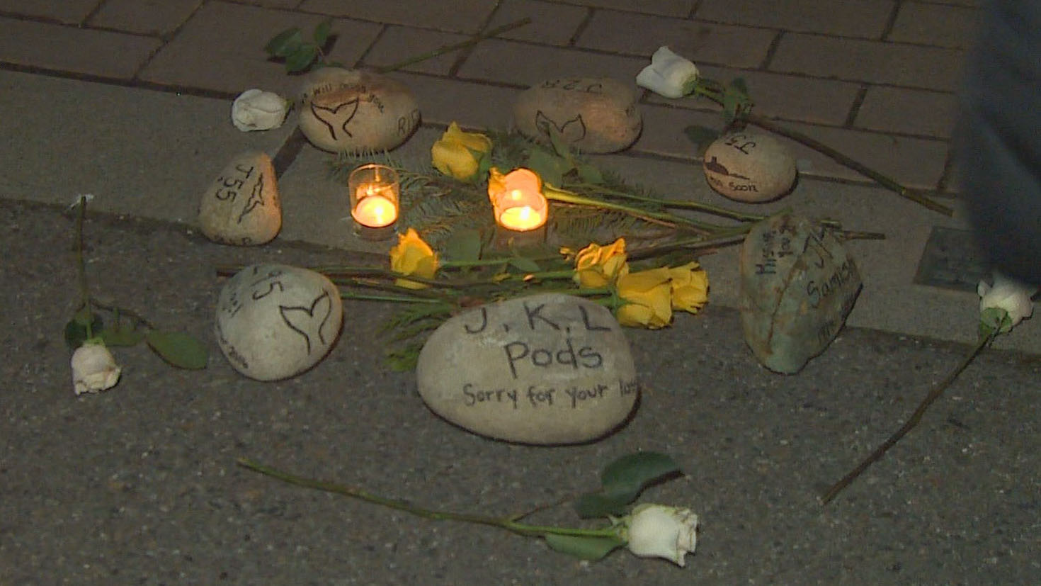 Orcas honored at vigils around Puget Sound after recent death | king5.com