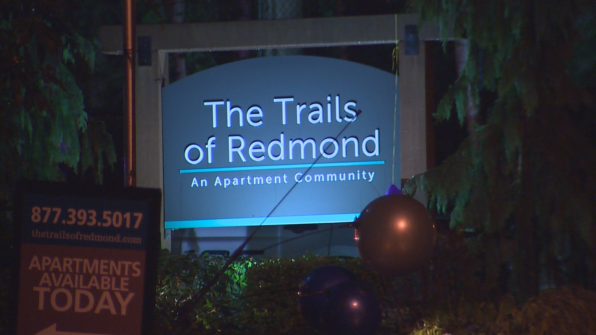Man shot, killed at New Year's Eve party | king5.com