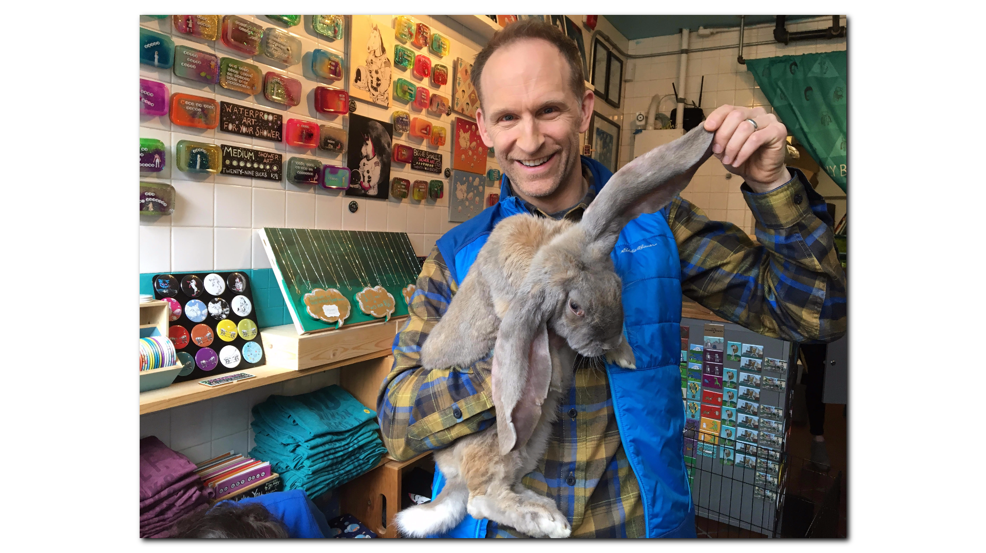 Bunny Party!: Seattle art shop fundraises for rabbit shelters | king5.com