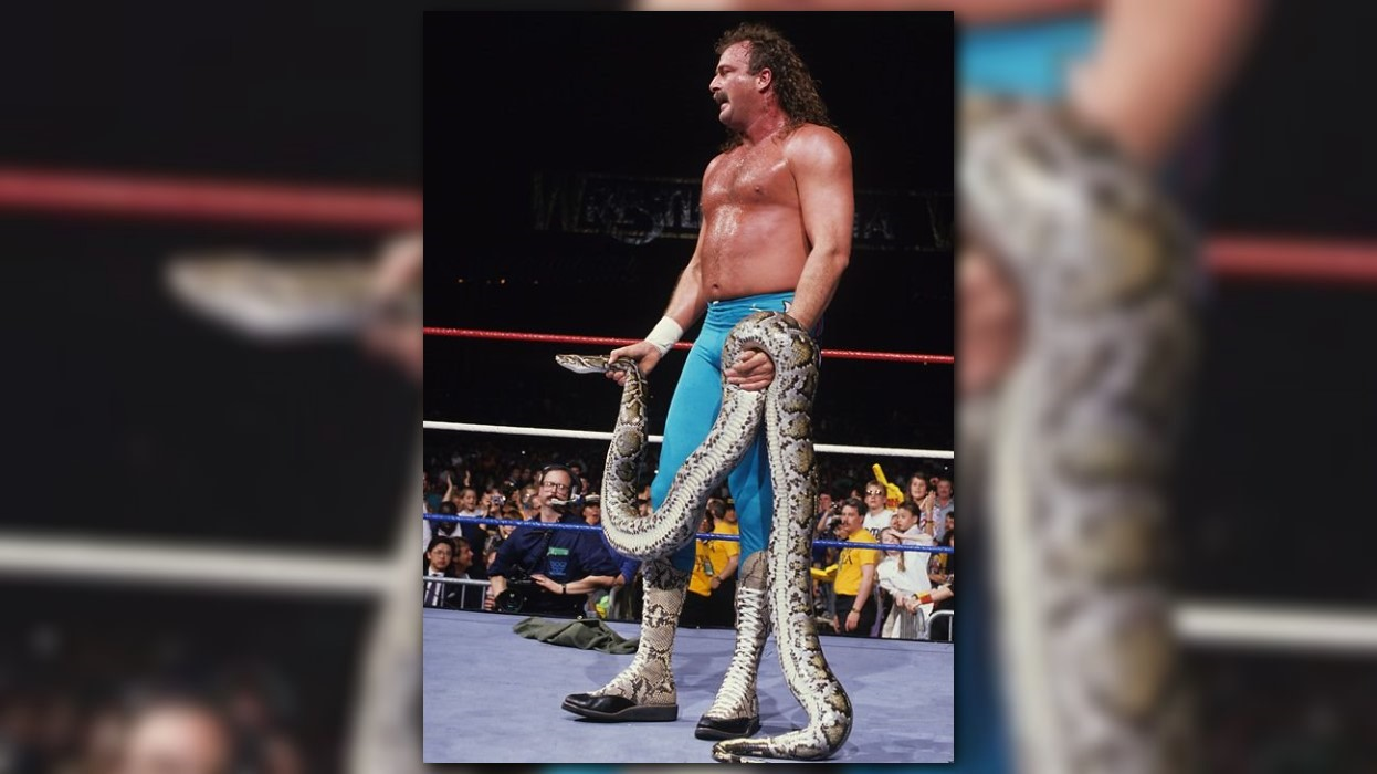 WWE Hall of Fame wrestler Jake "The Snake" Roberts | king5.com
