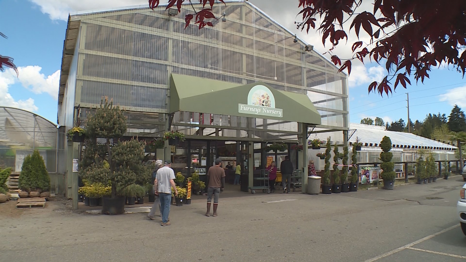 Family-owned Furney's Nursery closing after 70-plus years of planting ...
