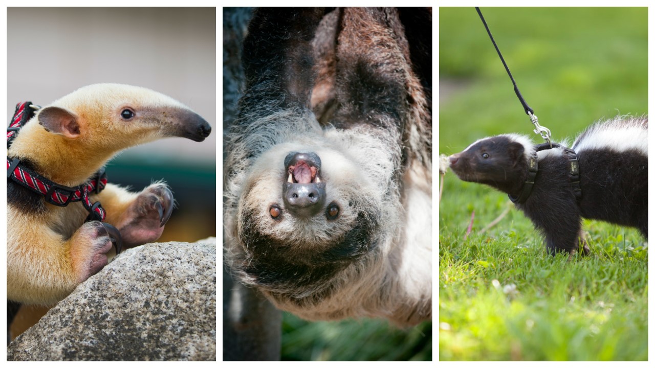 Point Defiance admission half-off Friday | king5.com