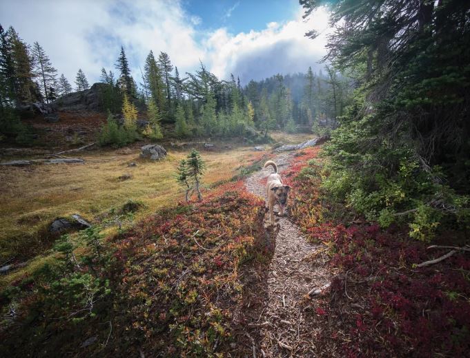 Seattle Met: 15 Amazing Northwest Cabin Destinations | king5.com