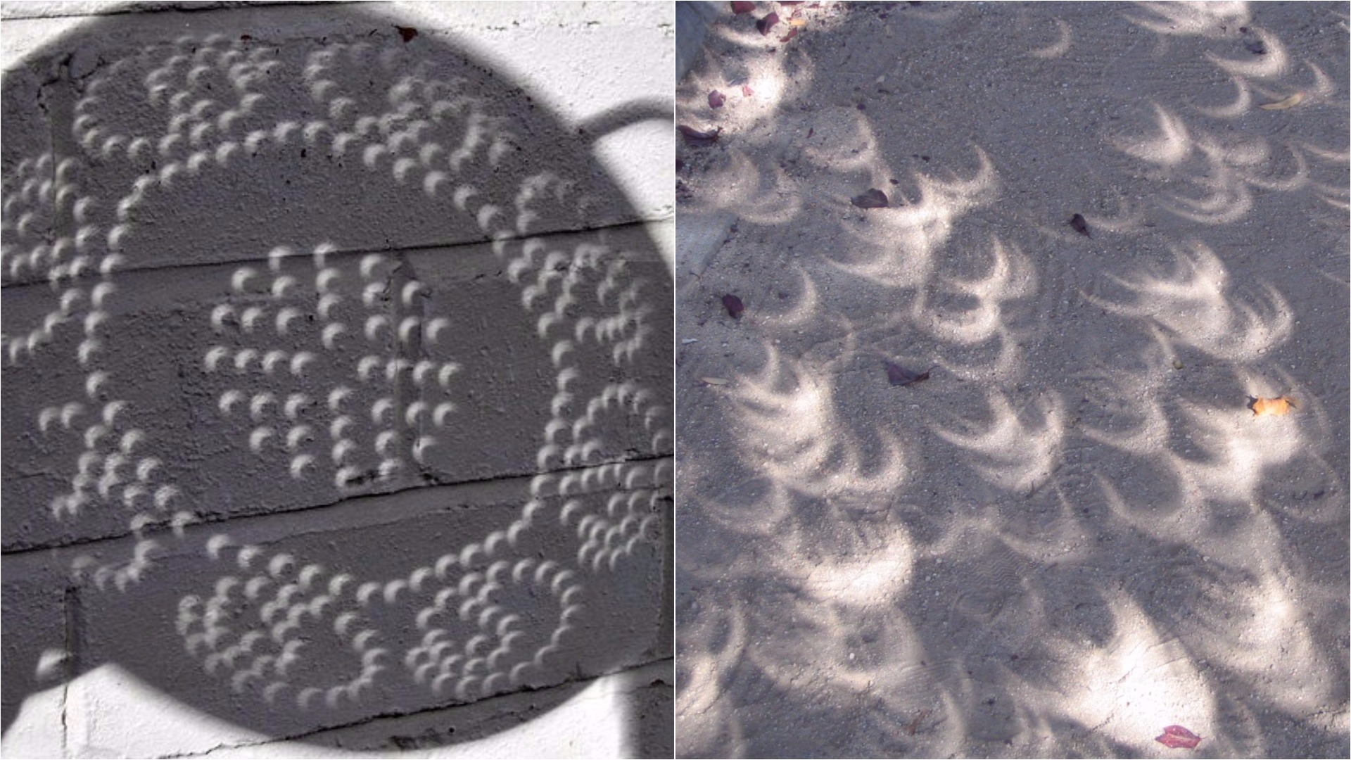 Viewing the eclipse is a ‘full body experience' | king5.com