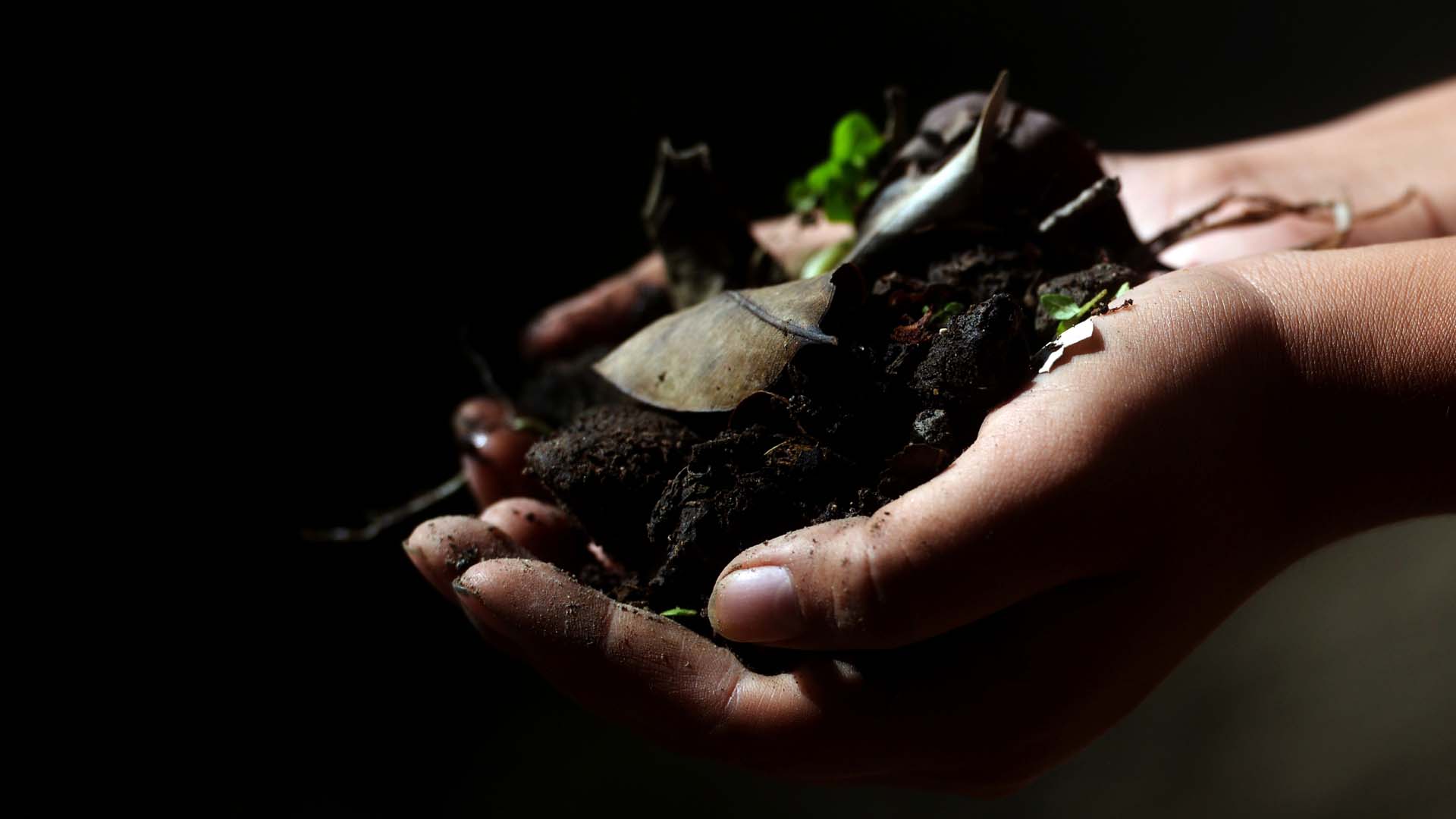 Composting human remains? Washington State University eyeing it | king5.com