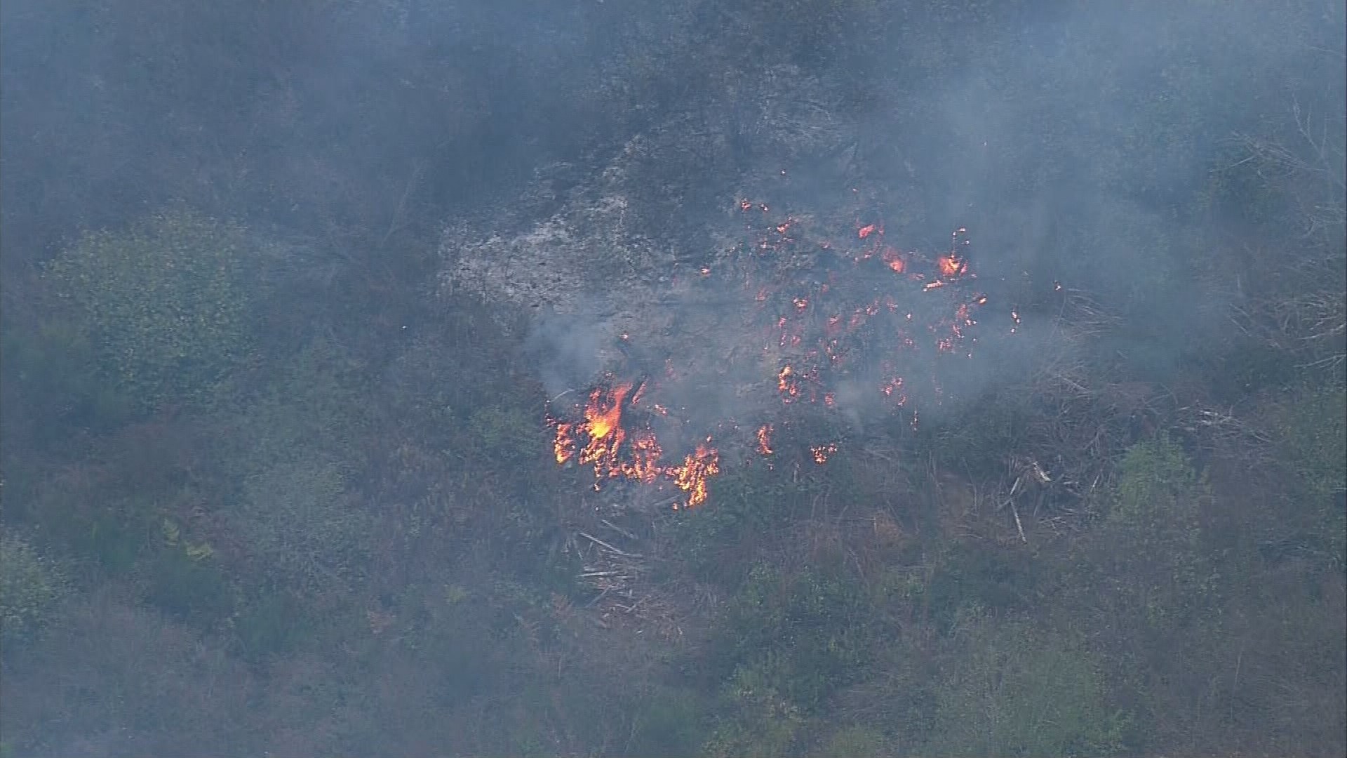 2 teens interviewed in connection to Graham brush fire | king5.com
