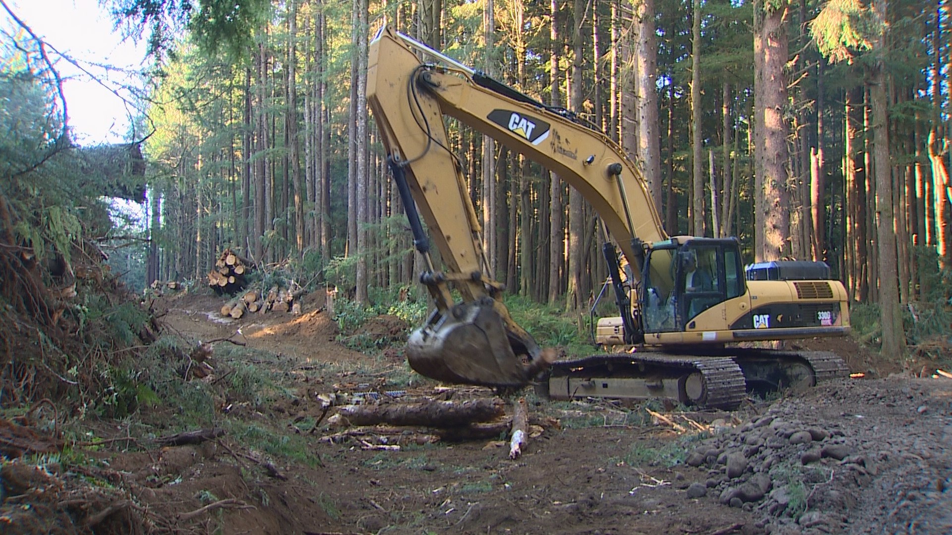 Quileute tribe mitigates tsunami danger with move to higher ground ...