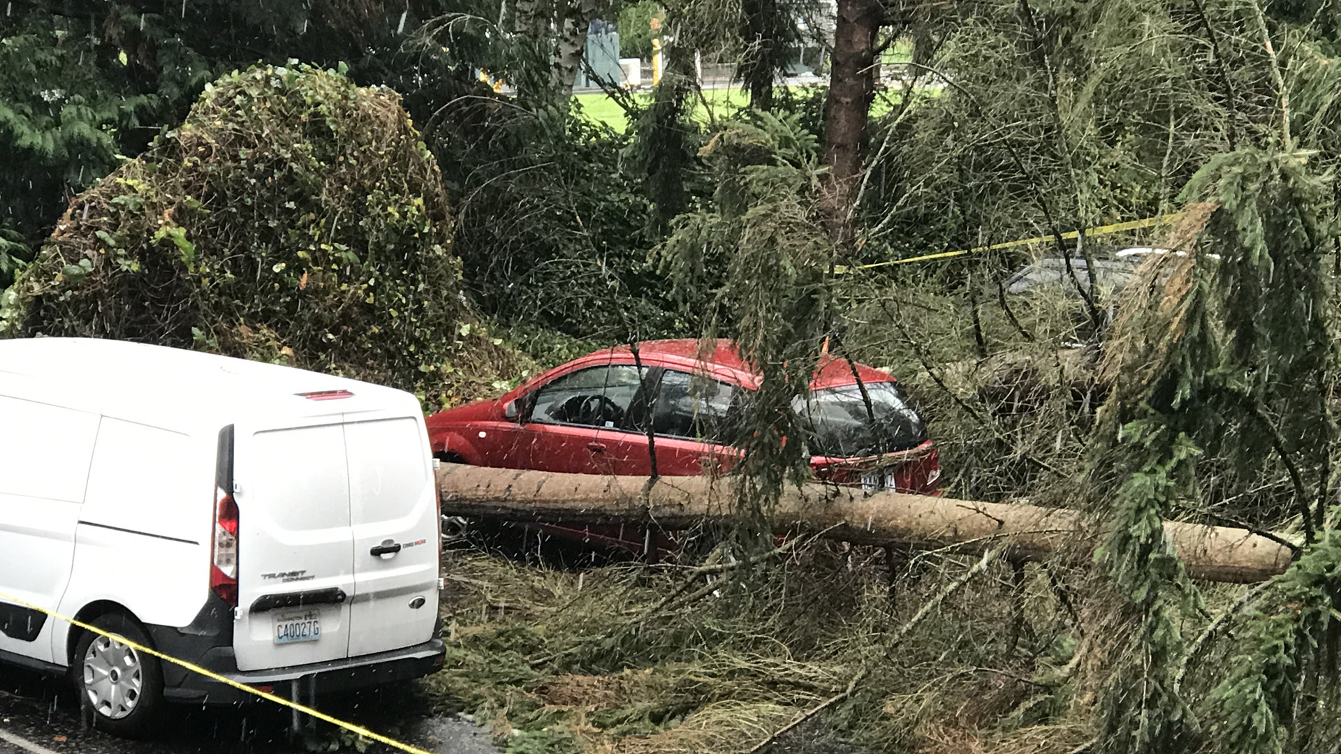 Fallen trees hit Seattle apartment building | king5.com