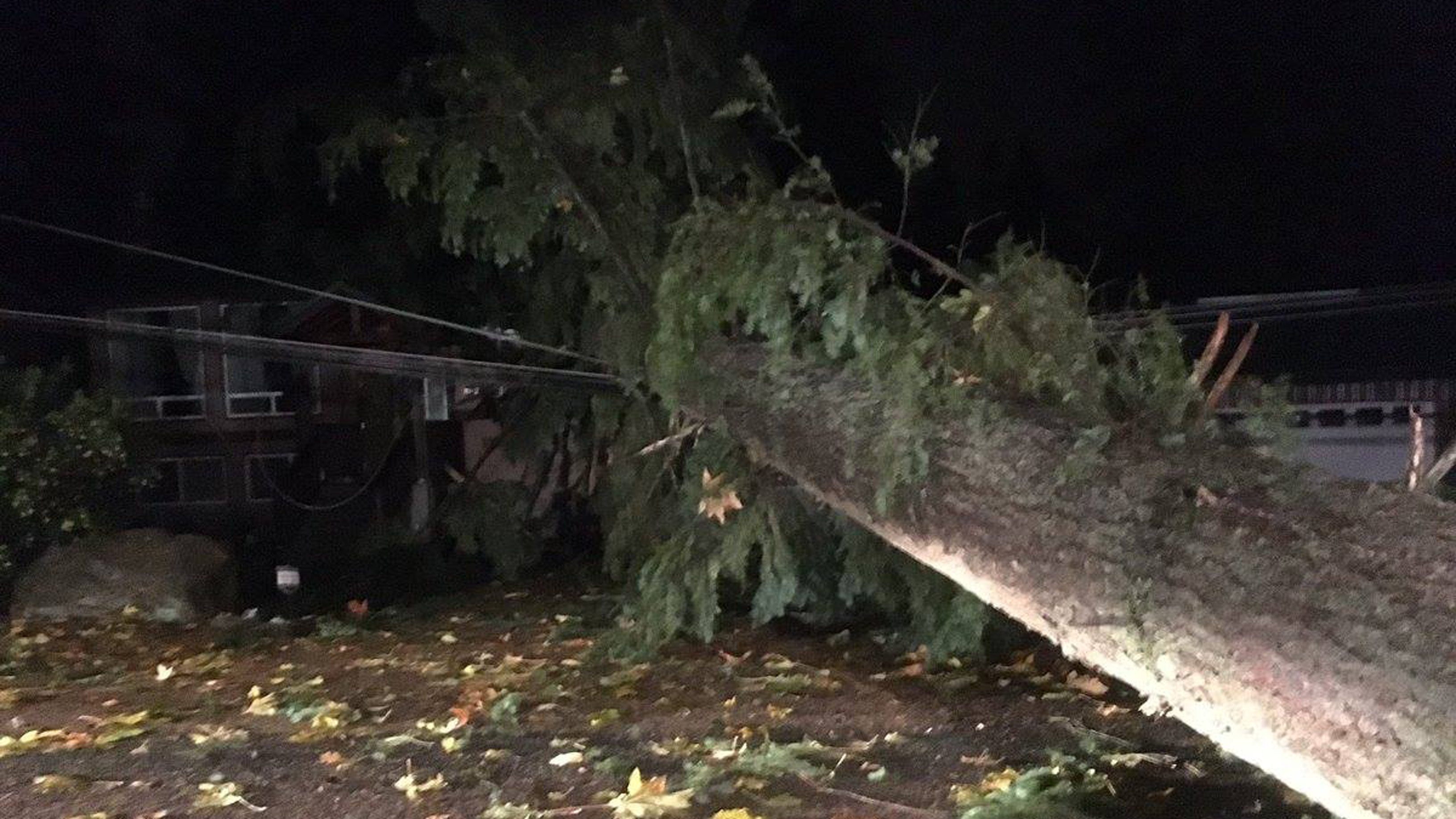 After strong winds, storm to bring heavy snow to mountains | king5.com